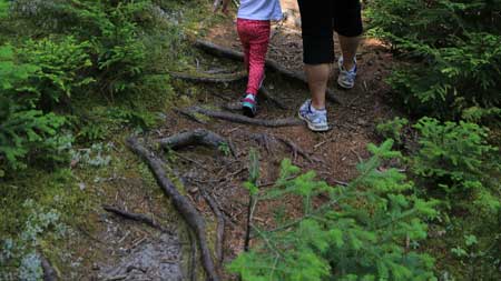 Conservation land trust of Deer Isle | Island Heritage Trust