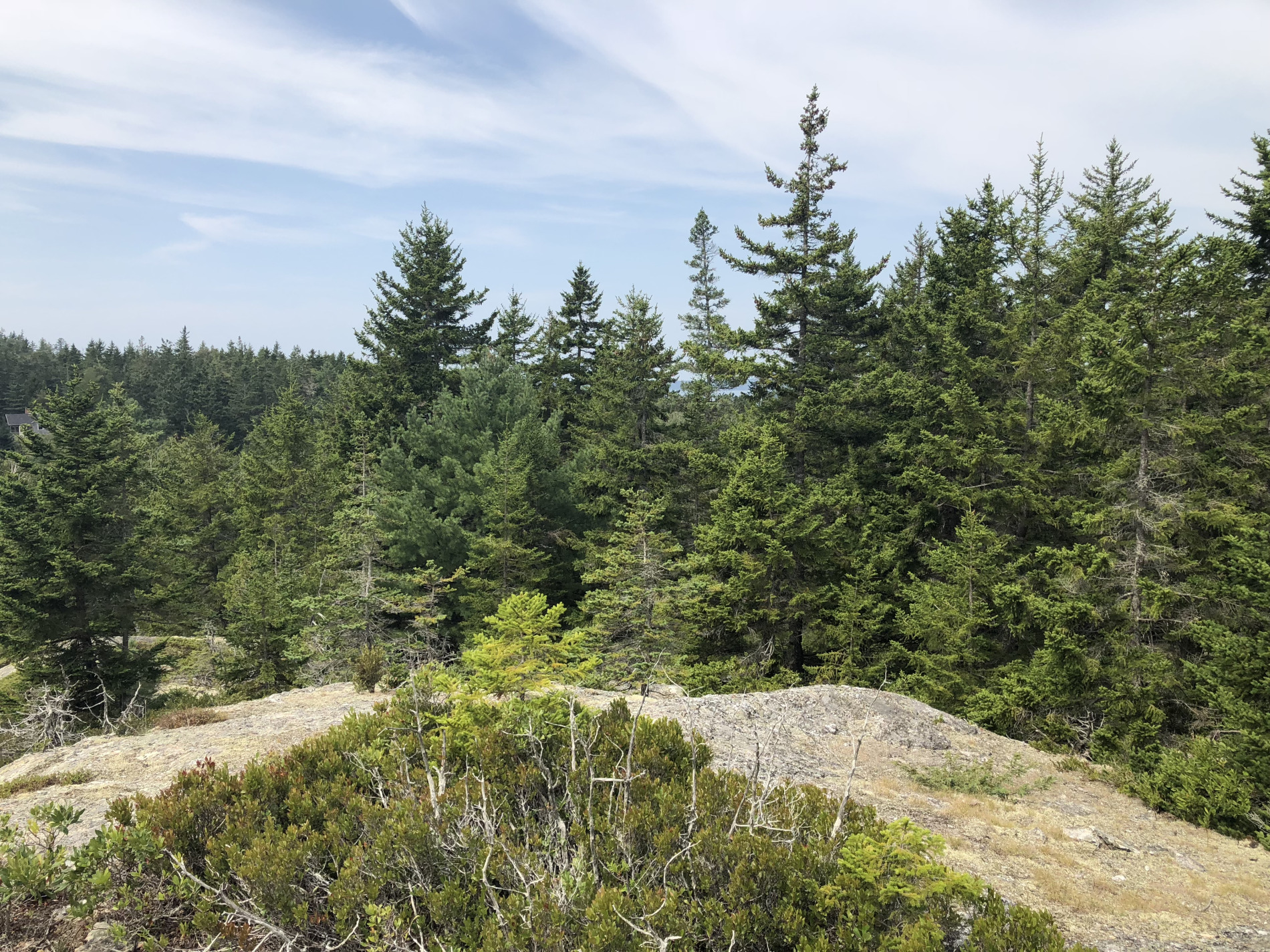 Visit Lisa Tolman Wotton Nature Preserve | Island Heritage Trust