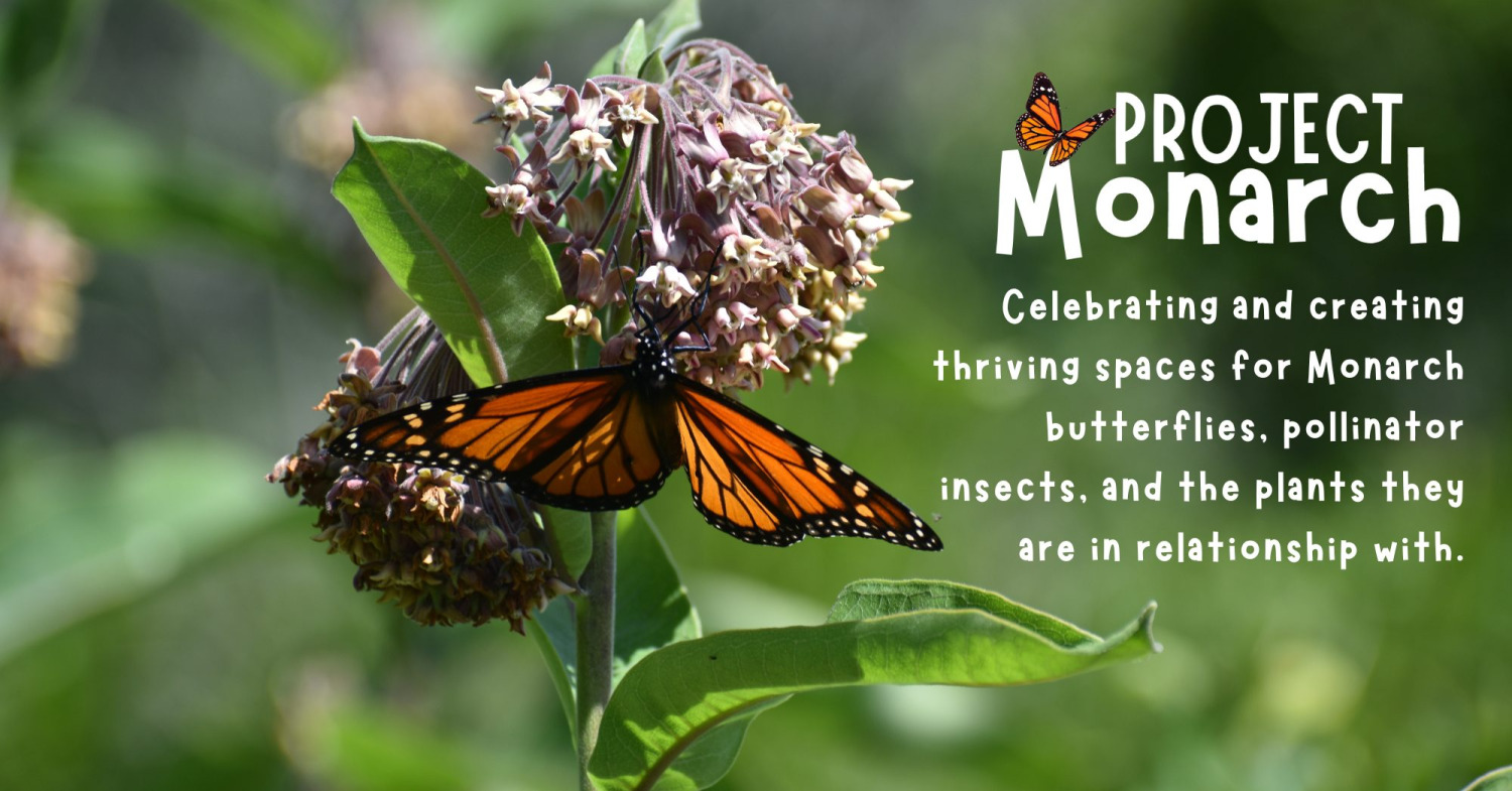 Project Monarch | Island Heritage Trust