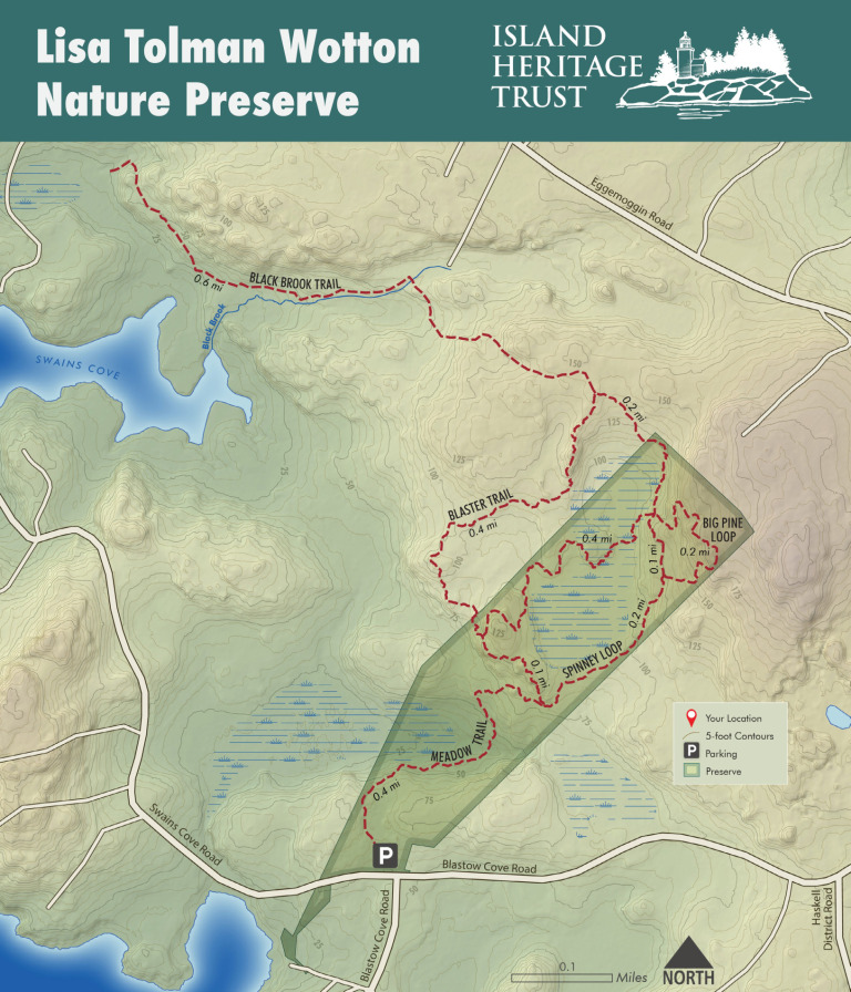 Visit Lisa Tolman Wotton Nature Preserve | Island Heritage Trust