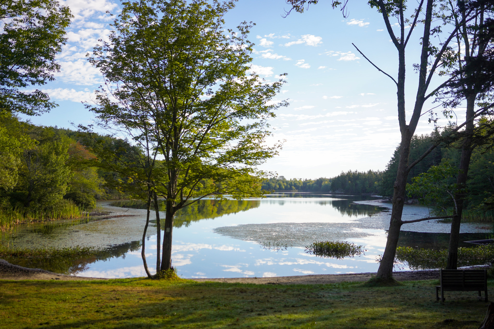 Visit Lily Pond Park | Island Heritage Trust