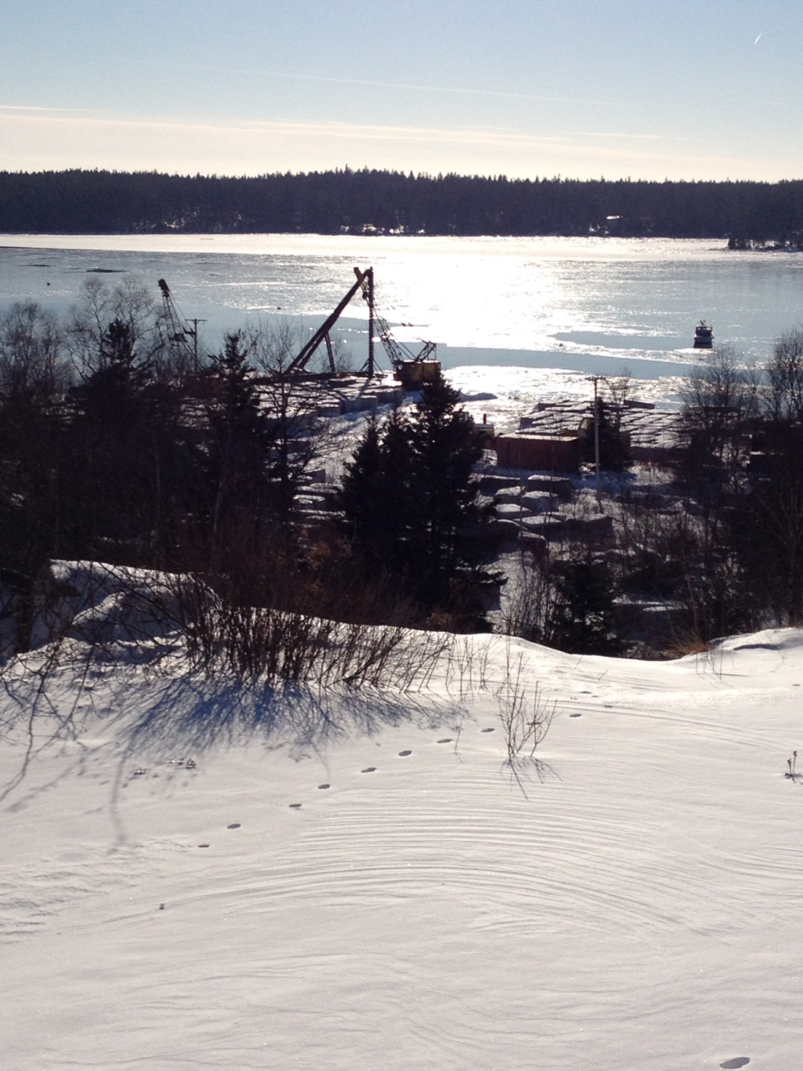 Visit Settlement Quarry Preserve | Island Heritage Trust